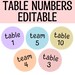 Boho Calm Colors Classroom Table Numbers, Table, Team and Group Numbers ...