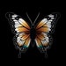 Educational Insect Flashcards Set - 3-piece Illustrated Learning Cards ...