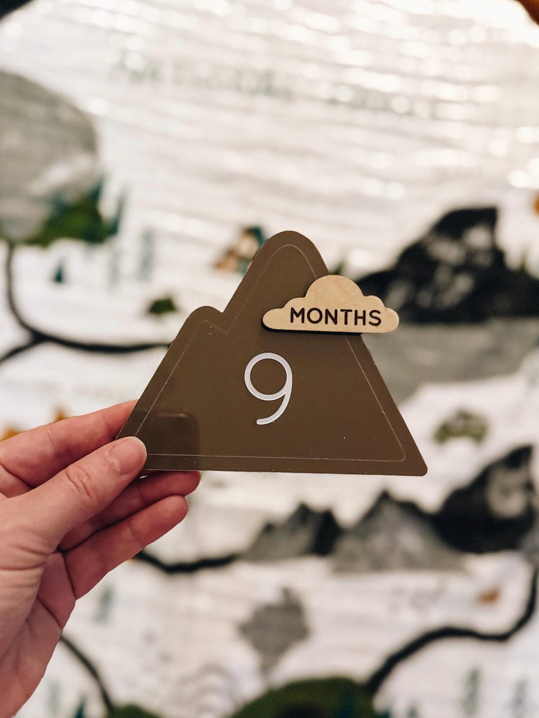 Mountain Baby Monthly Milestone Markers, Nature Nursery Decor, Acrylic ...