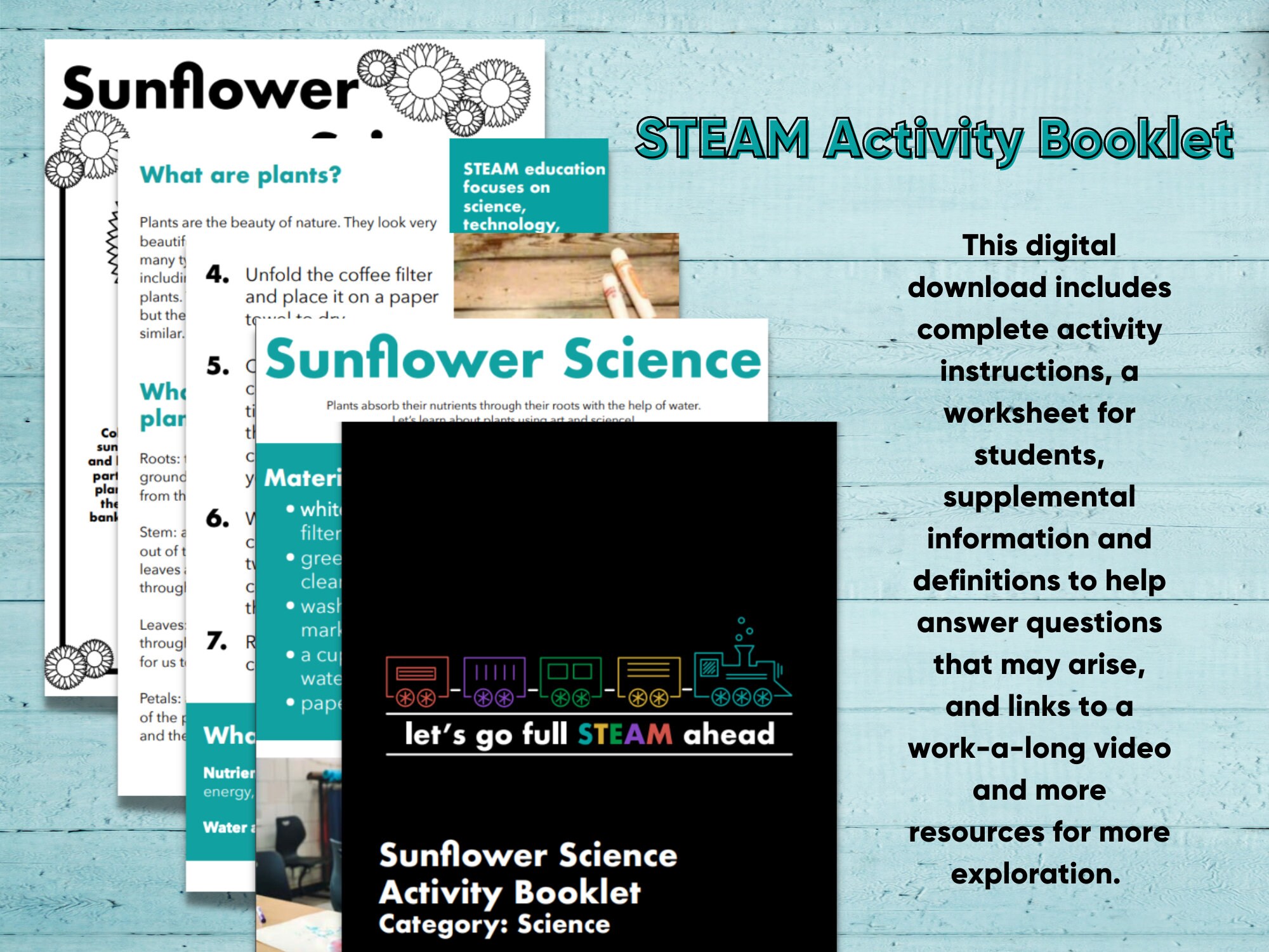 STEAM Activity - Sunflower Science - Etsy
