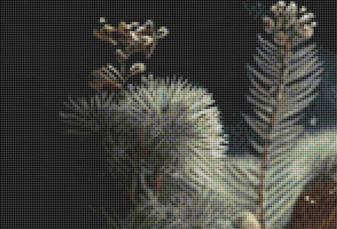 Chip Pine Cross Stitch Pattern by Tammy L. Gross (digital Format) - Etsy