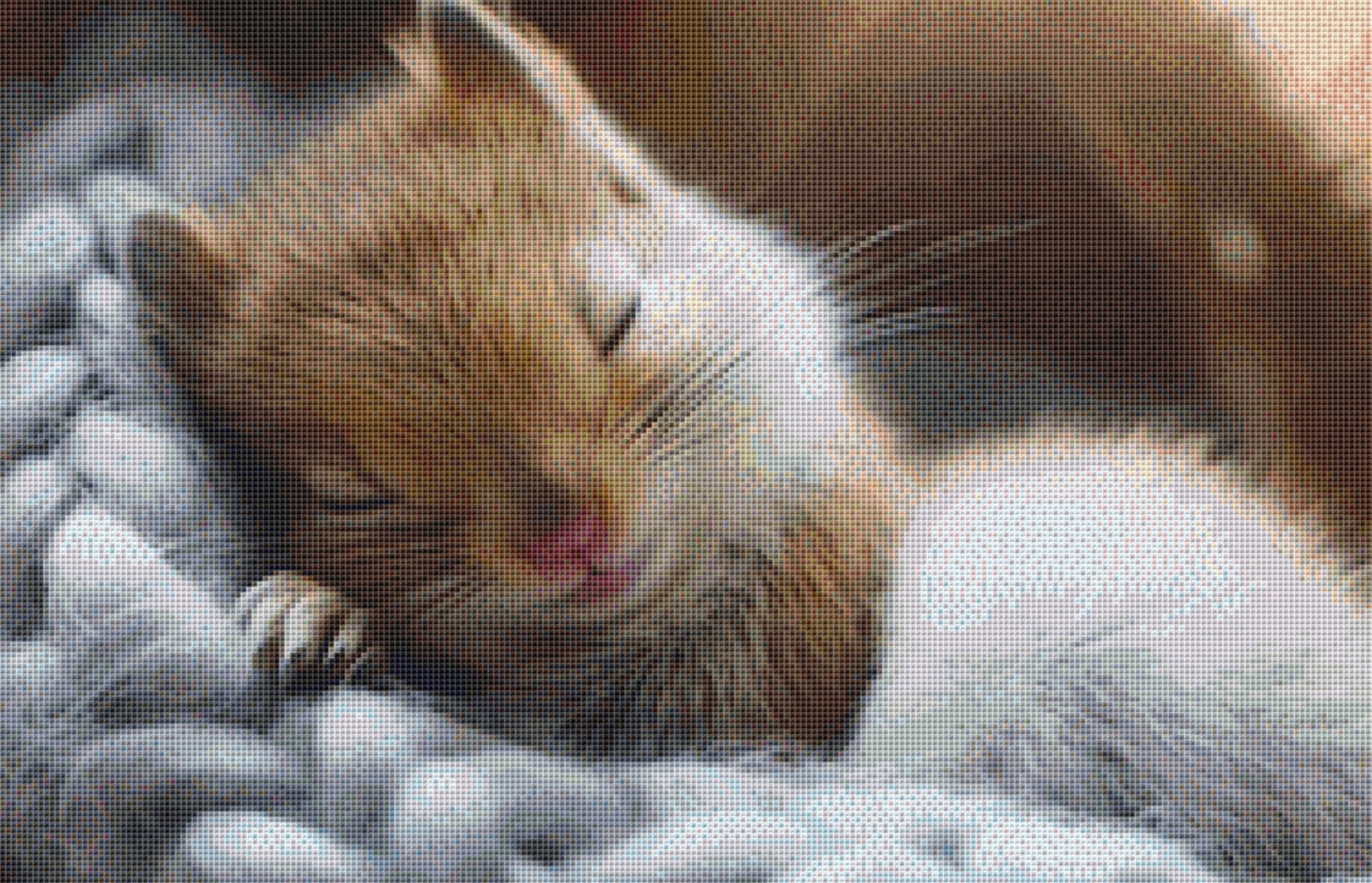 Baby Squirrel Cross Stitch Pattern by Tammy L. Gross (digital Format ...