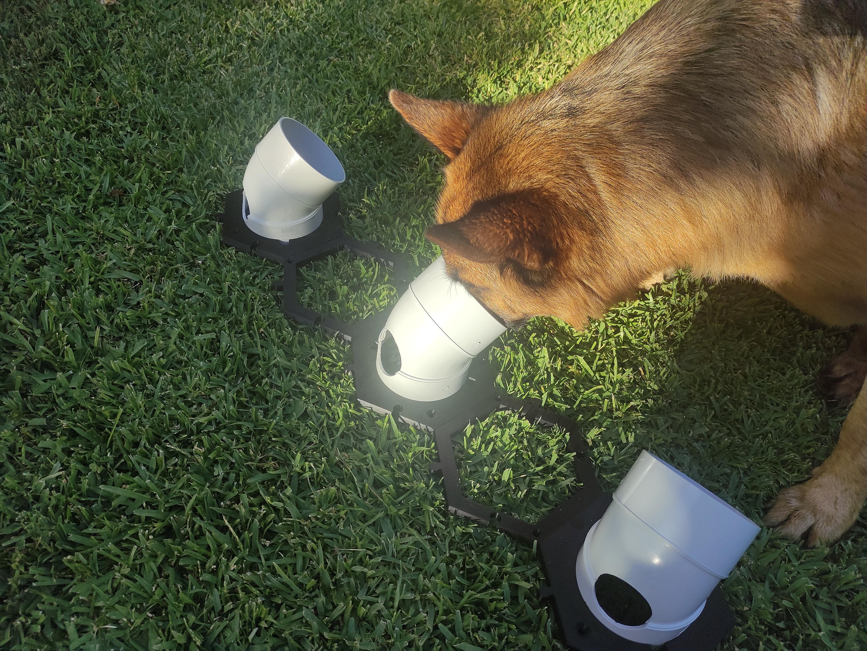 Nose Work Scent Imprinting Tool - Etsy