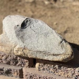 SANDSTONE PREHISTORIC Crocodile Head Natural Sculpture Rock - Etsy