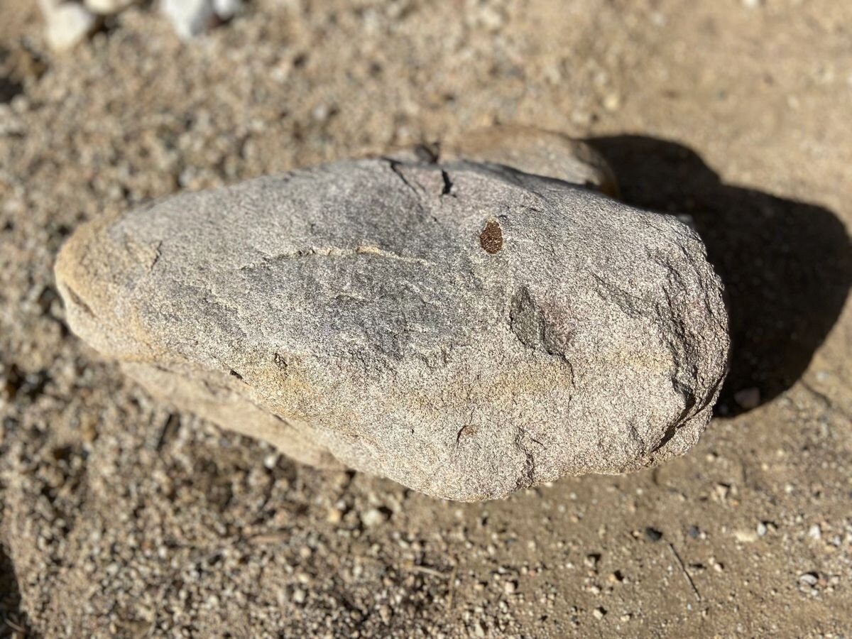 SANDSTONE PREHISTORIC Crocodile Head Natural Sculpture, Rock Garden ...