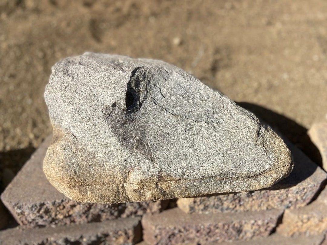 SANDSTONE PREHISTORIC Crocodile Head Natural Sculpture Rock - Etsy