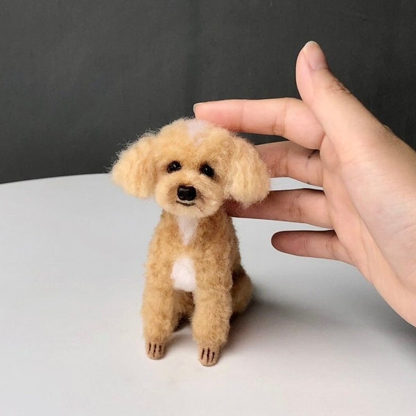 Miniature Poodle - Etsy