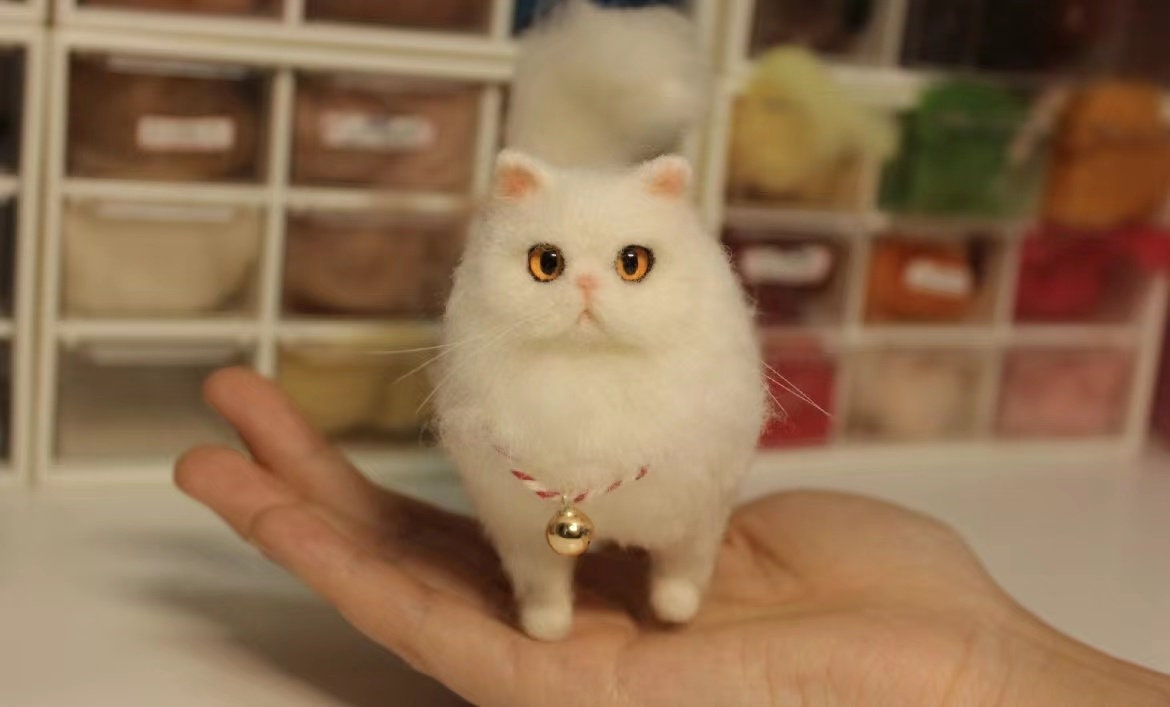 Miniature Persian Cat