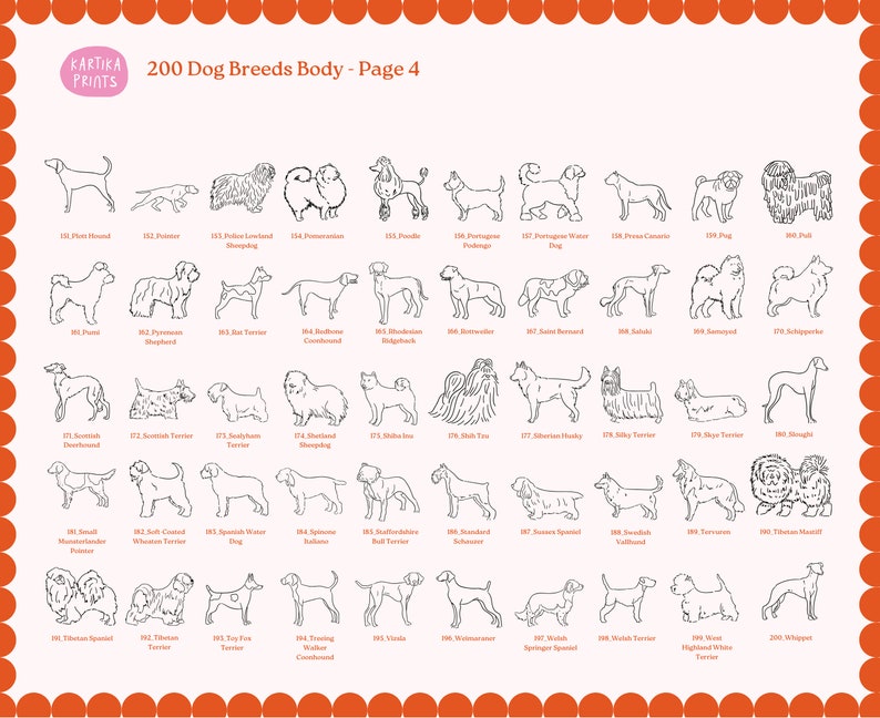 Dog Breed Body Illustration SVG PNG Bundle Hand Drawn Dog Body Outline ...