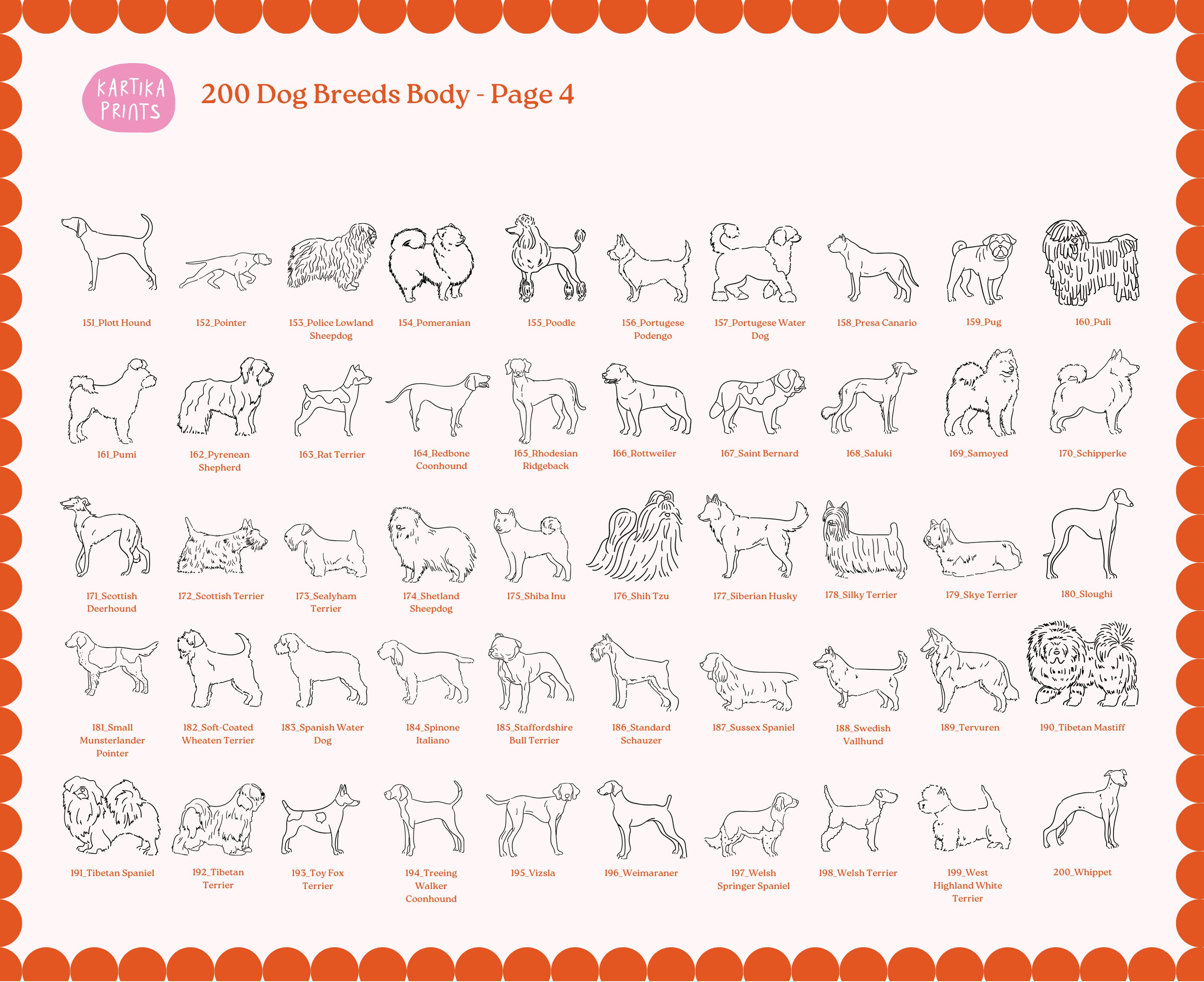 Dog Breed Body Illustration SVG PNG Bundle Hand Drawn Dog Body Outline ...