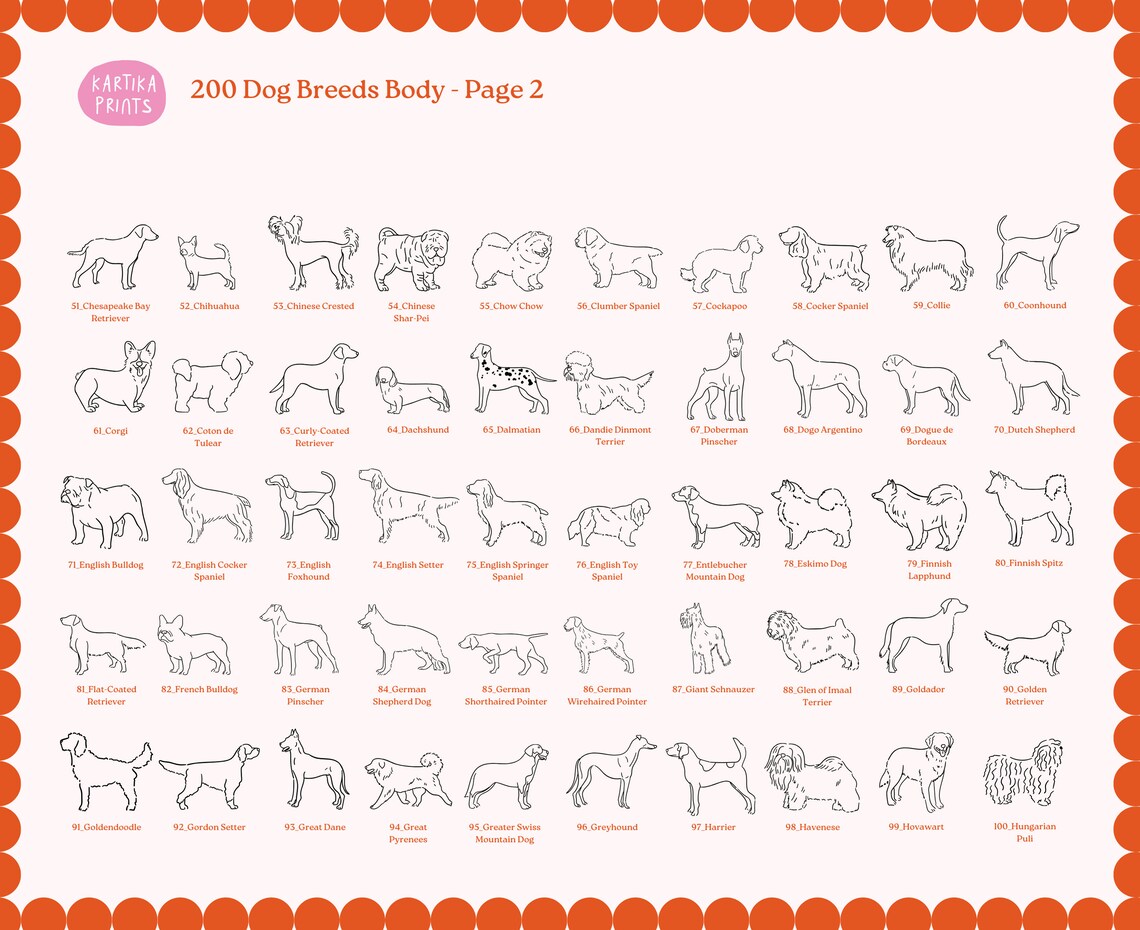 Dog Breed Body Illustration SVG PNG Bundle Hand Drawn Dog Body Outline ...