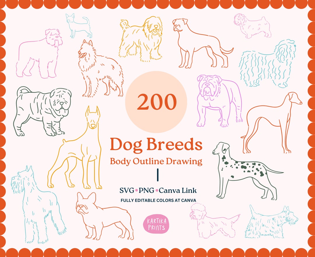 Dog Breed Outline SVG PNG Bundle: 200 Hand-drawn Illustrations Canva ...