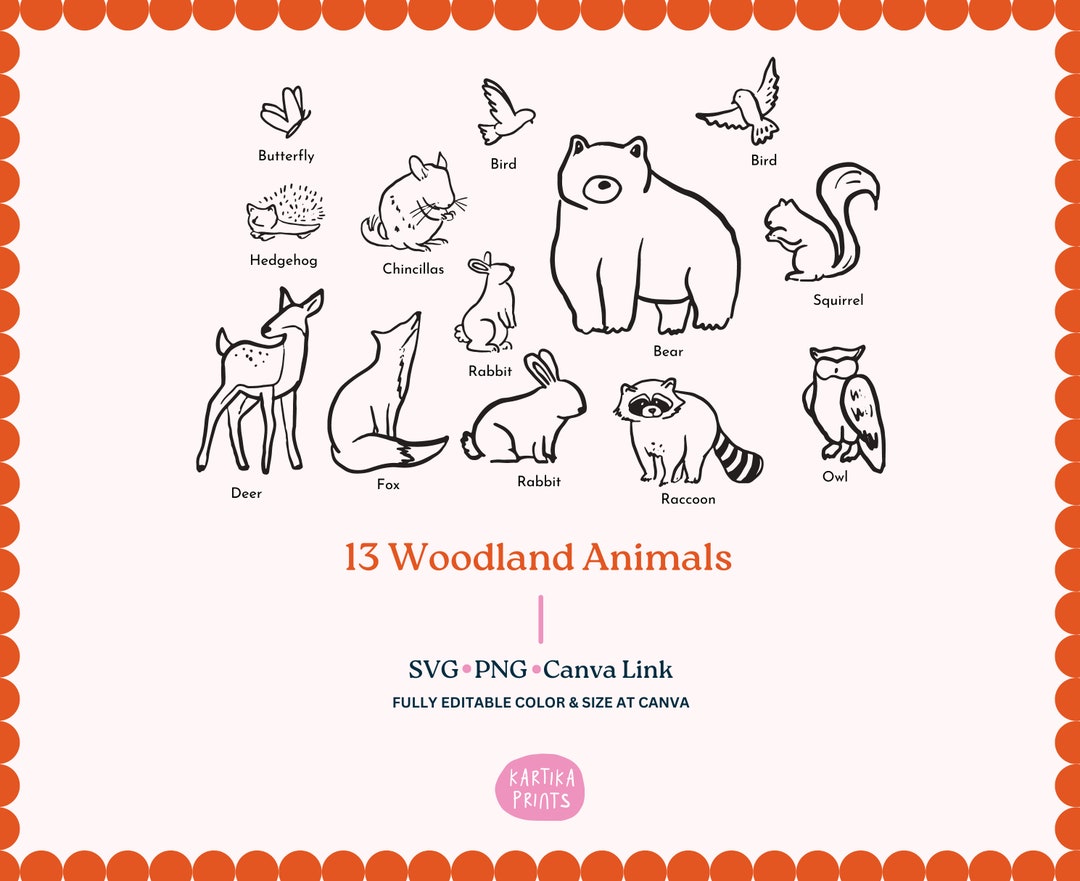 Woodland Animal Illustration SVG PNG Bundle - Hand Drawn Animal Outline ...