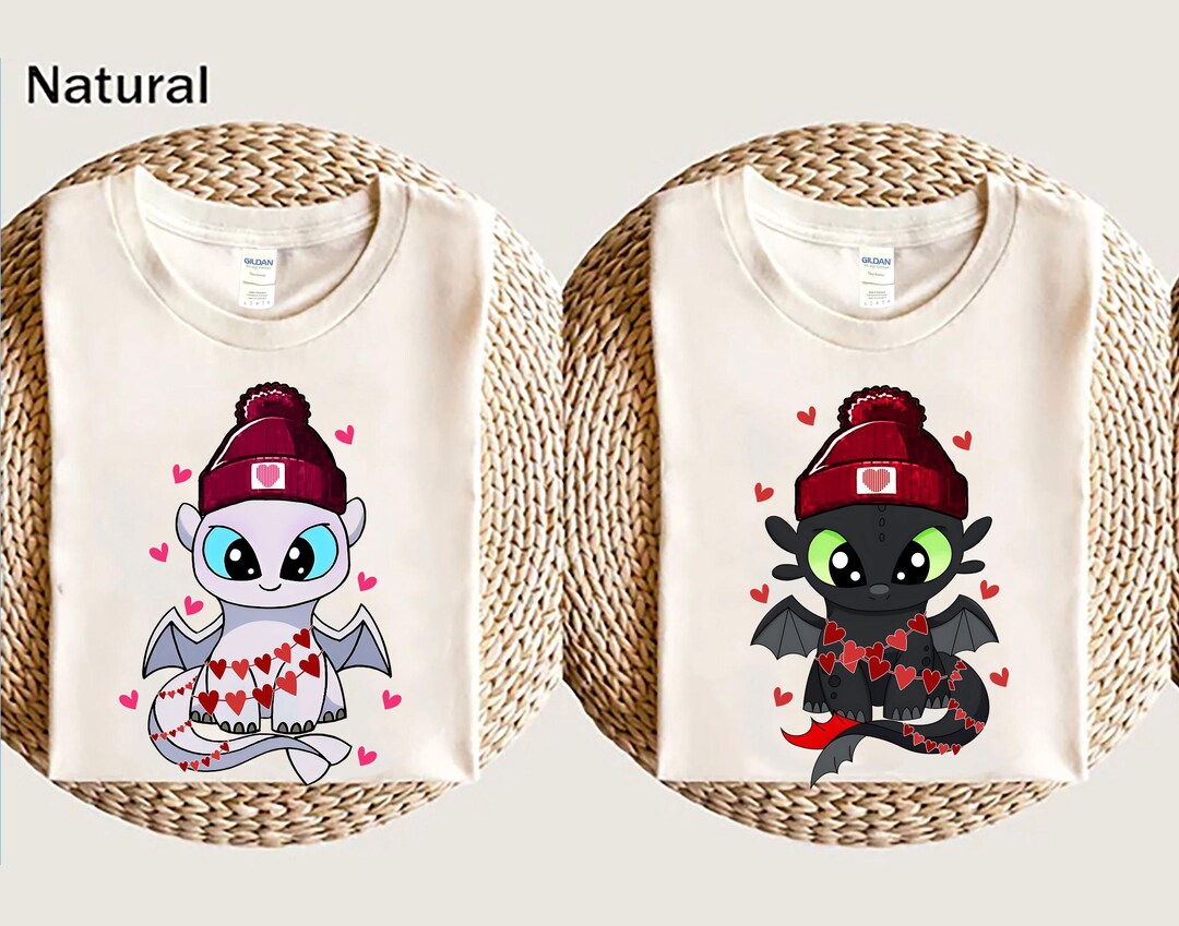 Cute Toothless and Fury Shirt, How to Train Your Dragon Couple Shirts ...