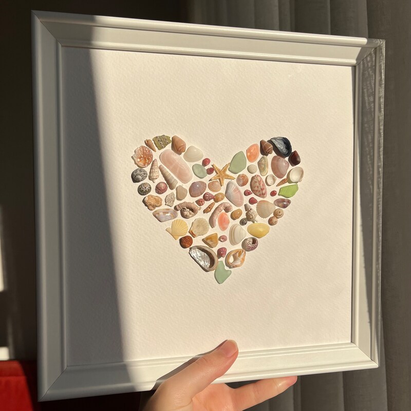 Sea Shell Wall Art - Etsy