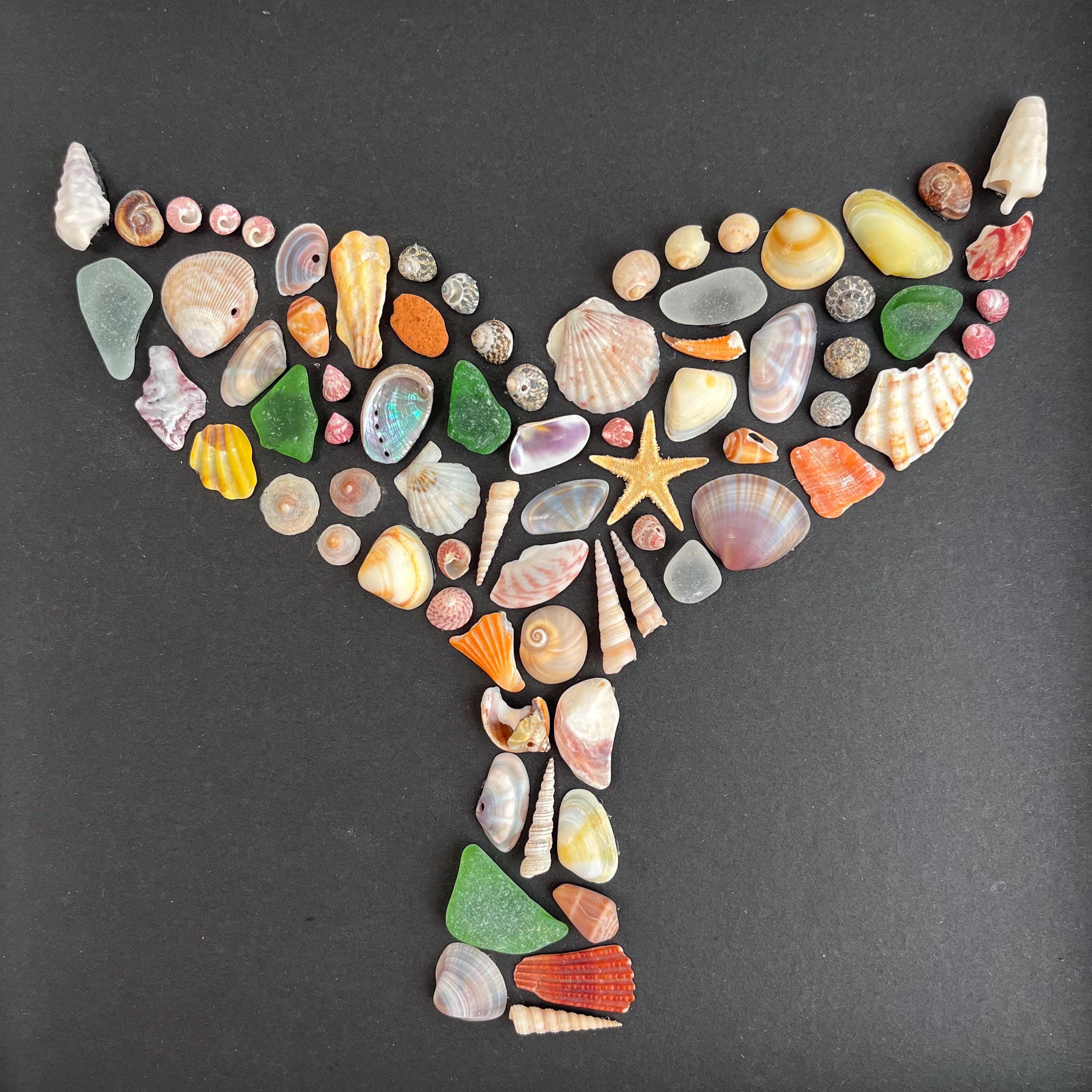 Whale Tail - Sea Shell and Sea Glass Collage, Framed in a Shadow Box ...
