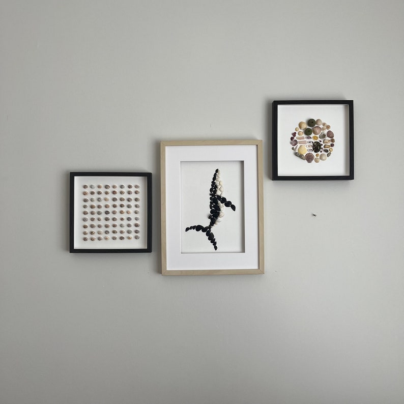 Humpback Whale Sea Shell College Art Mussel Shell Wall - Etsy