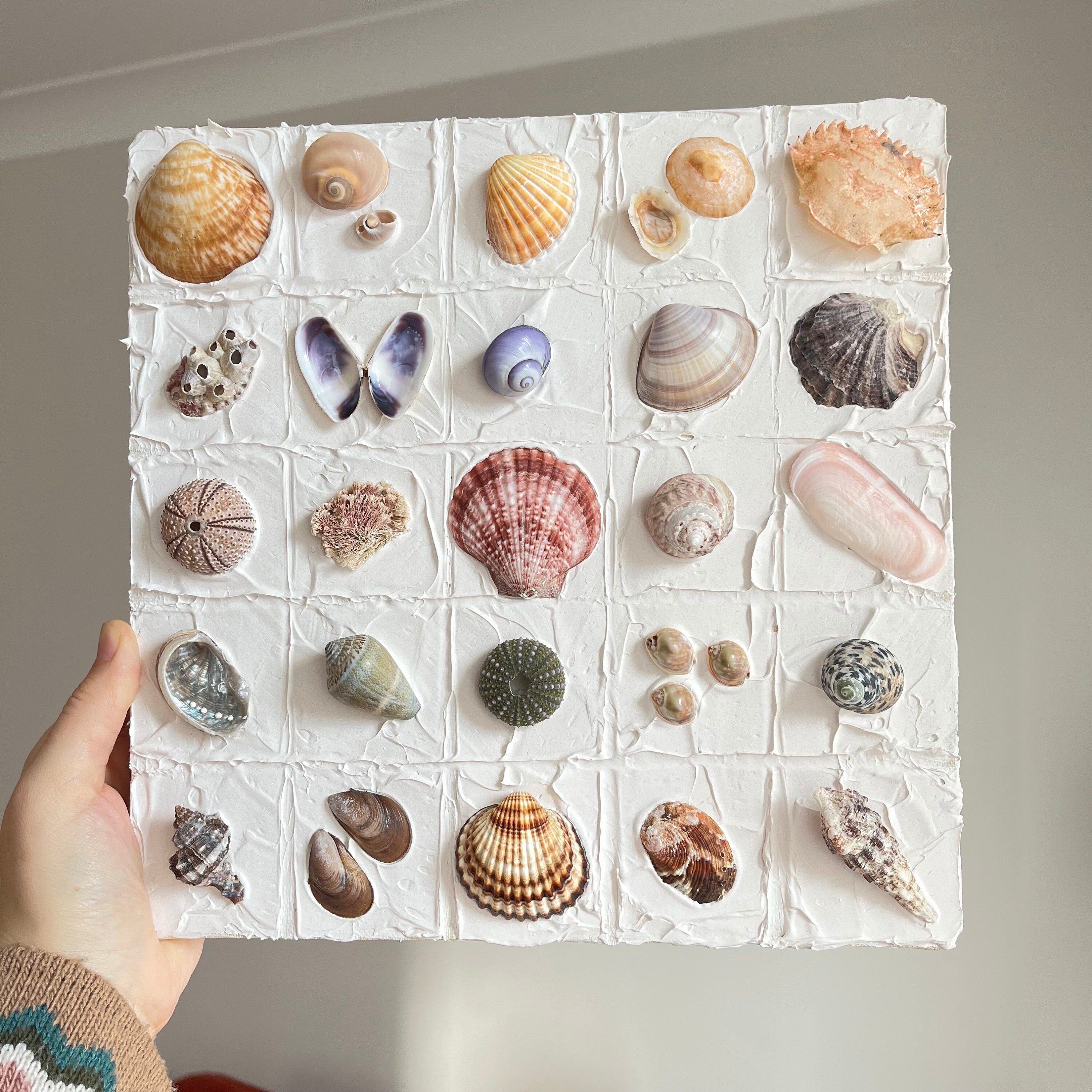 Sea Shell Collection-coastal Shell Art, Unique Sea Shell Collage for ...