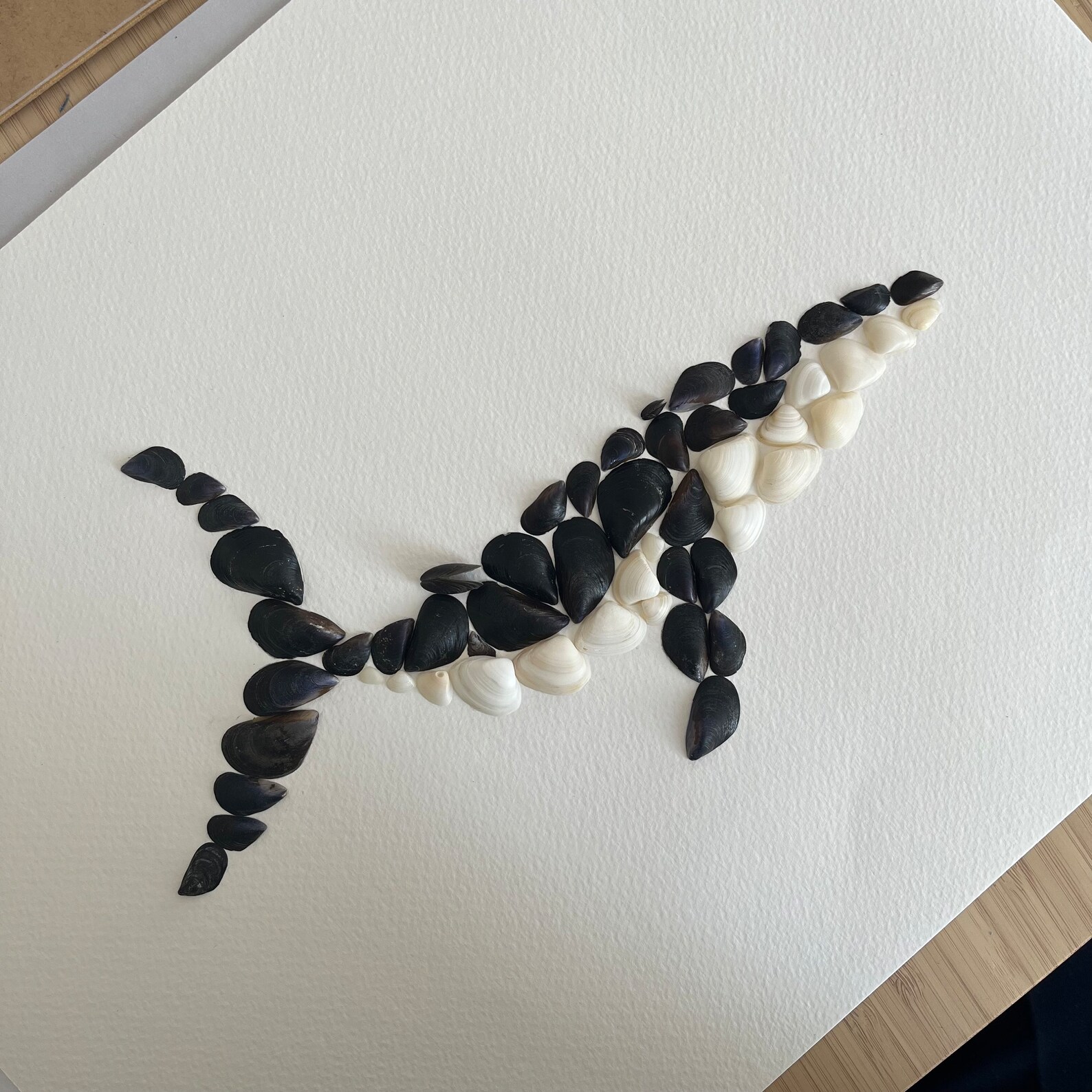 Humpback Whale Sea Shell College Art Mussel Shell Wall - Etsy