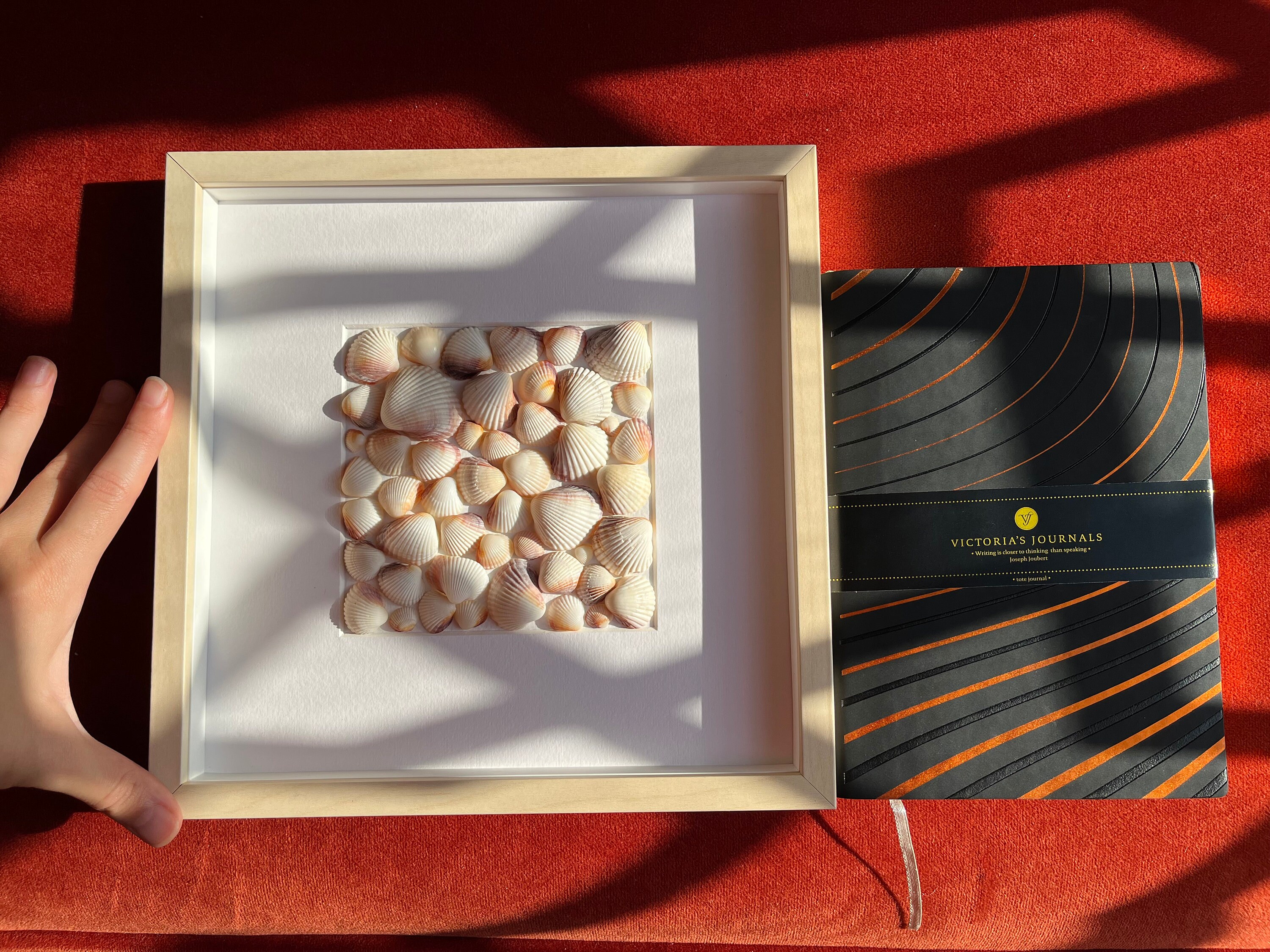Coastal Sea Shell College Art, Shadow Box, Mussel Shells, Shell Picture ...