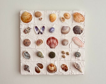 Humpback Whale Sea Shell College Art, Mussel Shell Wall Decor, Shell ...