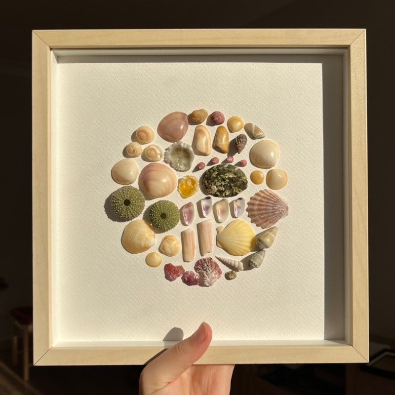 Framed Shell Art - Etsy