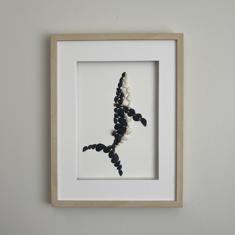 Humpback Whale Sea Shell College Art Mussel Shell Wall - Etsy