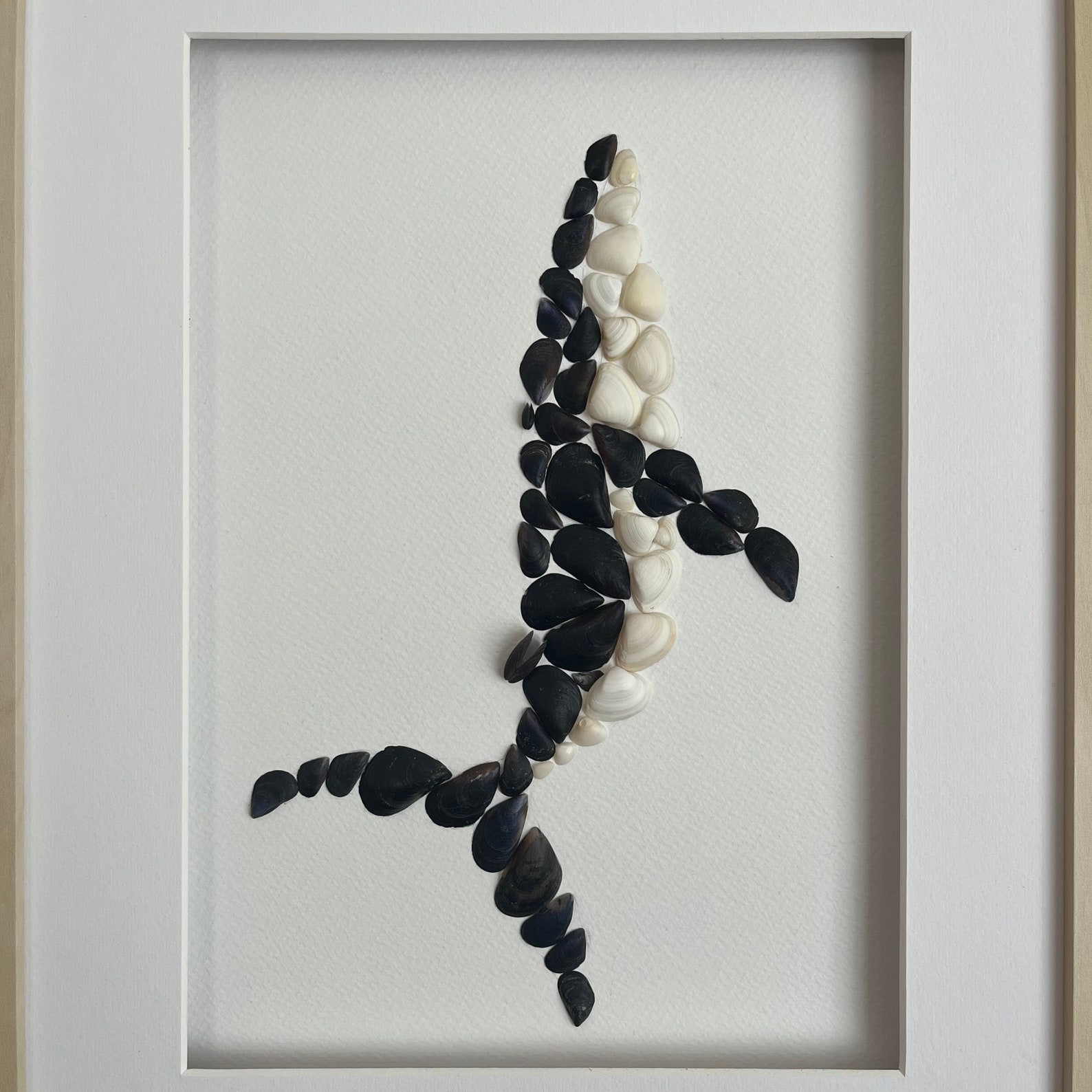 Humpback Whale Sea Shell College Art Mussel Shell Wall - Etsy