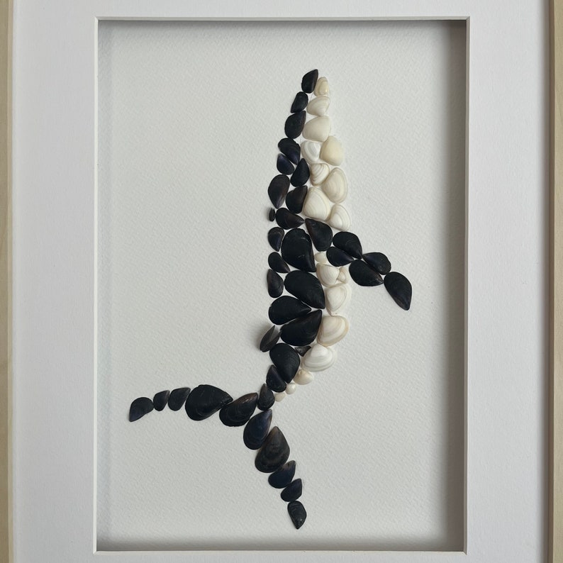Humpback Whale Sea Shell College Art Mussel Shell Wall - Etsy