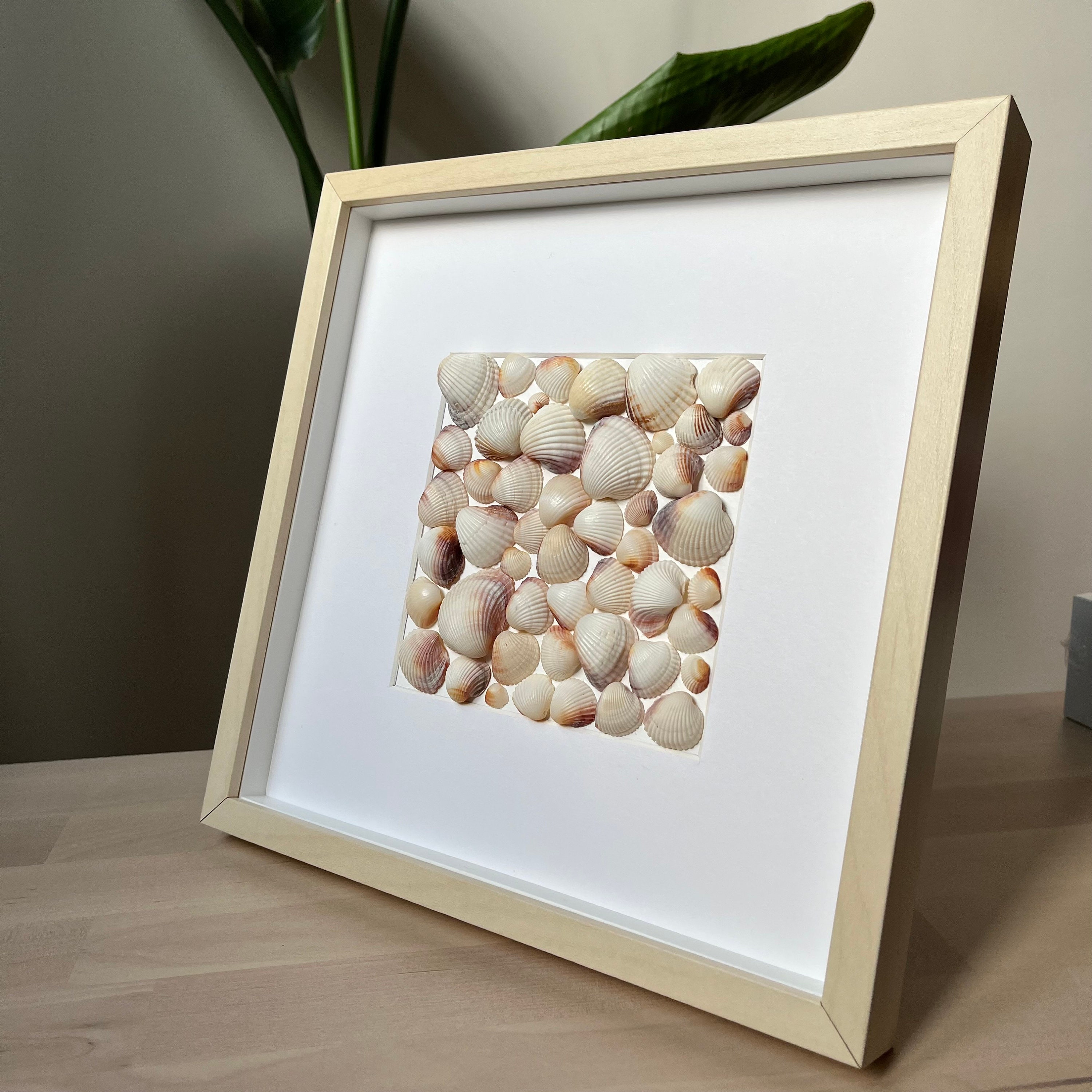 Coastal Sea Shell College Art, Shadow Box, Mussel Shells, Shell Picture ...