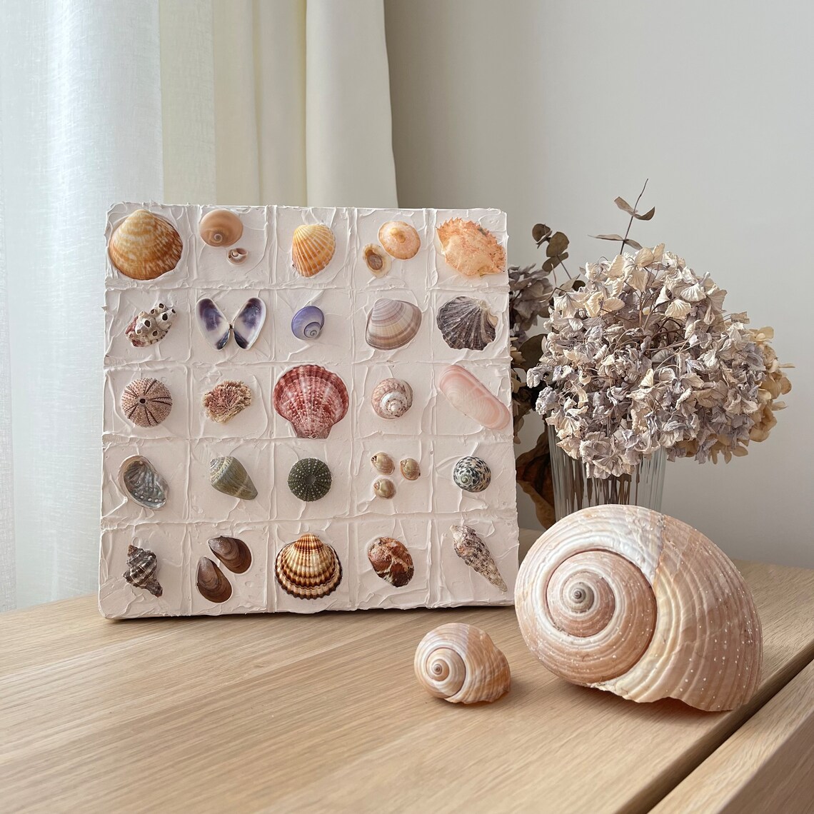 Sea Shell Collection-coastal Shell Art, Unique Sea Shell Collage for ...
