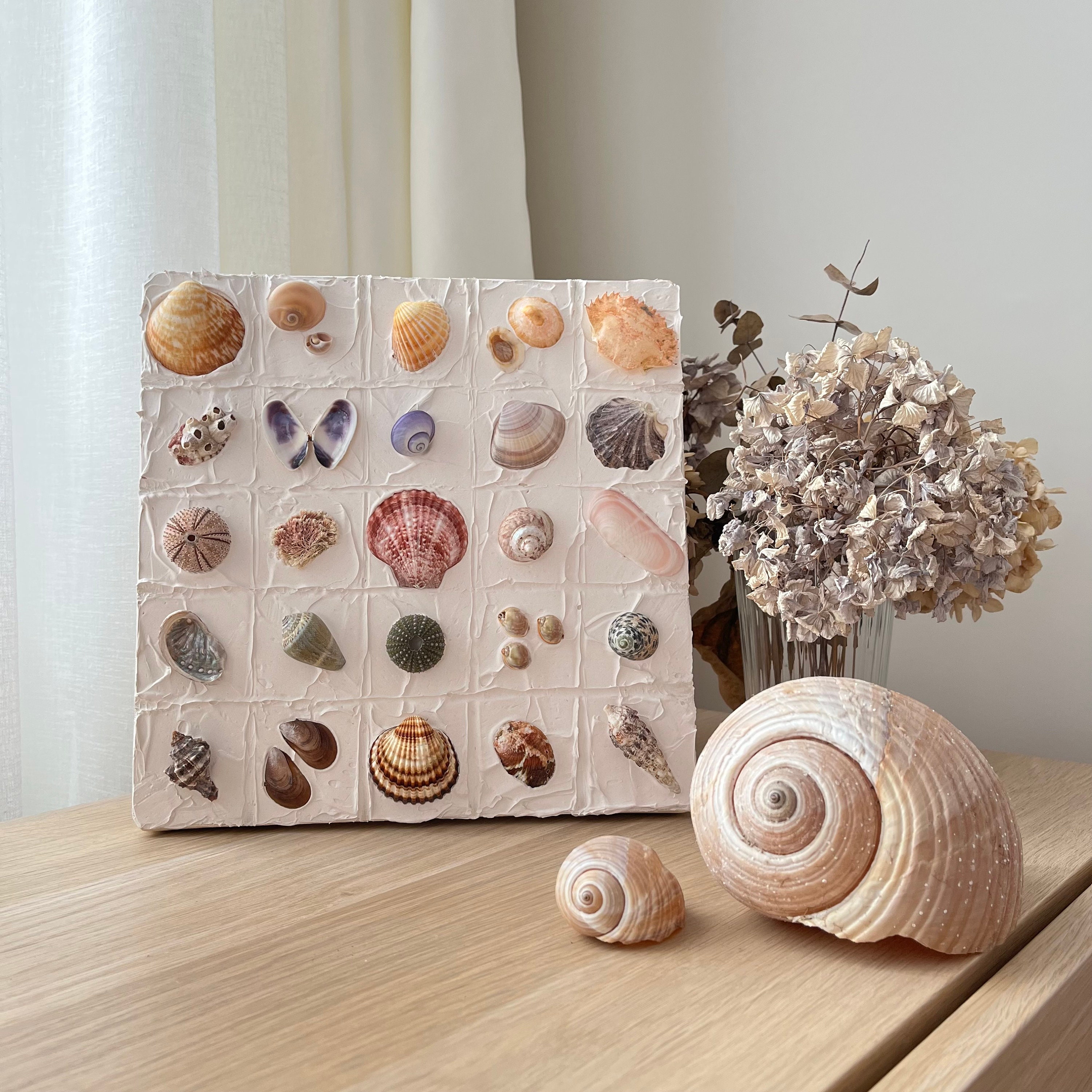 Sea Shell Collection-coastal Shell Art, Unique Sea Shell Collage for ...