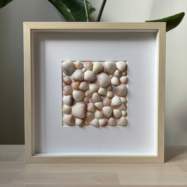 Shell Art Shadow Box - Etsy