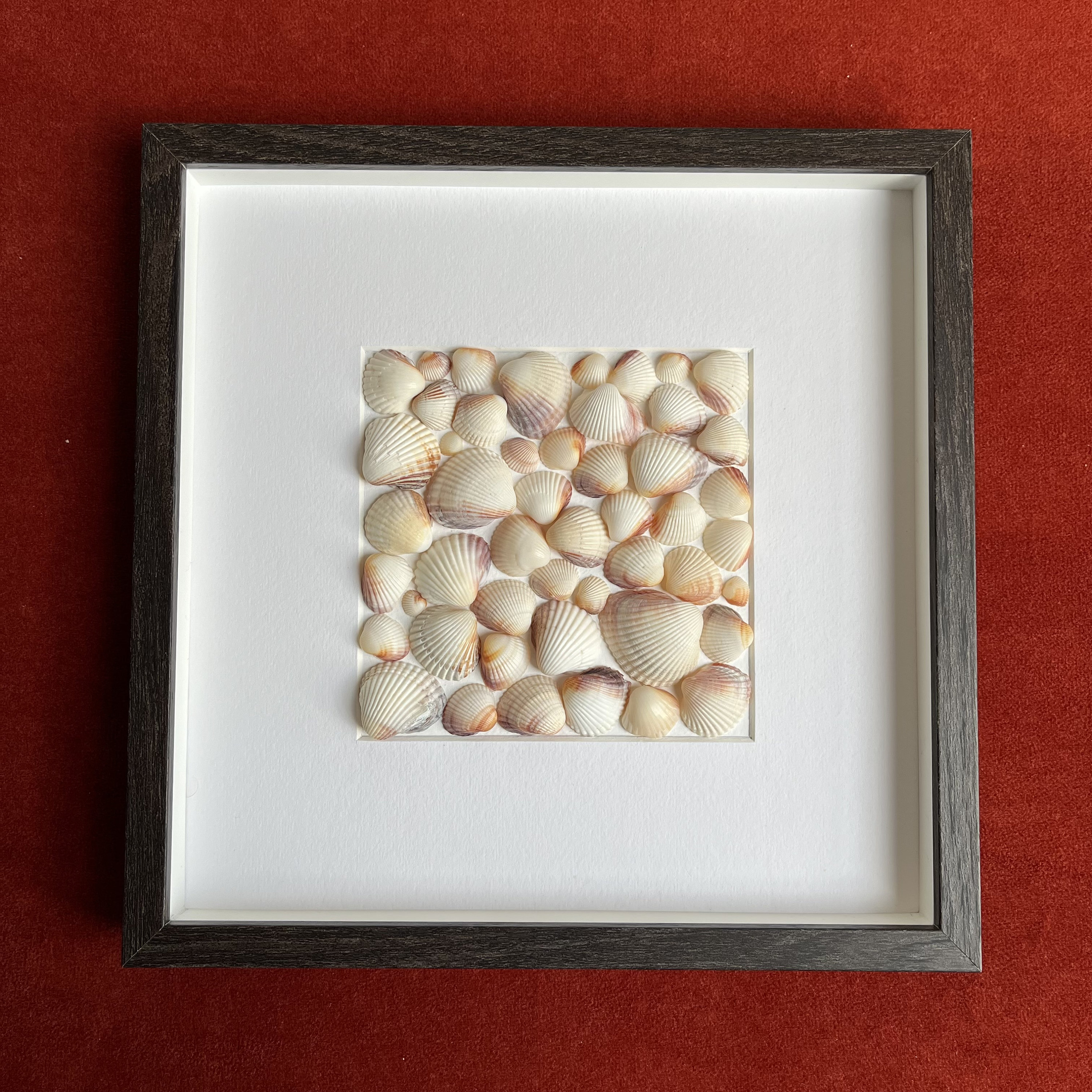 Coastal Sea Shell College Art, Shadow Box, Mussel Shells, Shell Picture ...