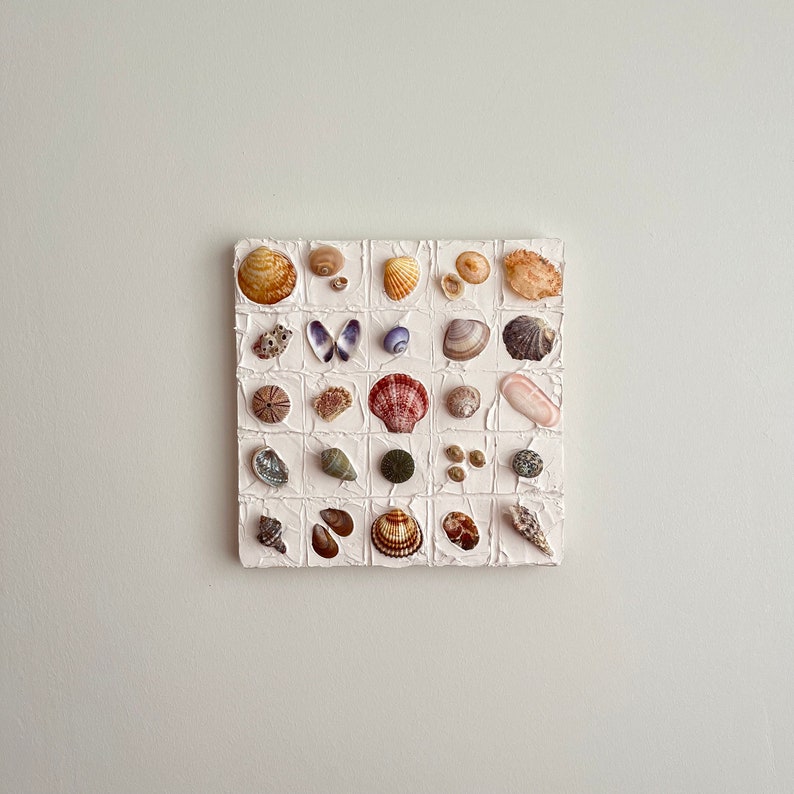 Sea Shell Collection-coastal Shell Art, Unique Sea Shell Collage for ...