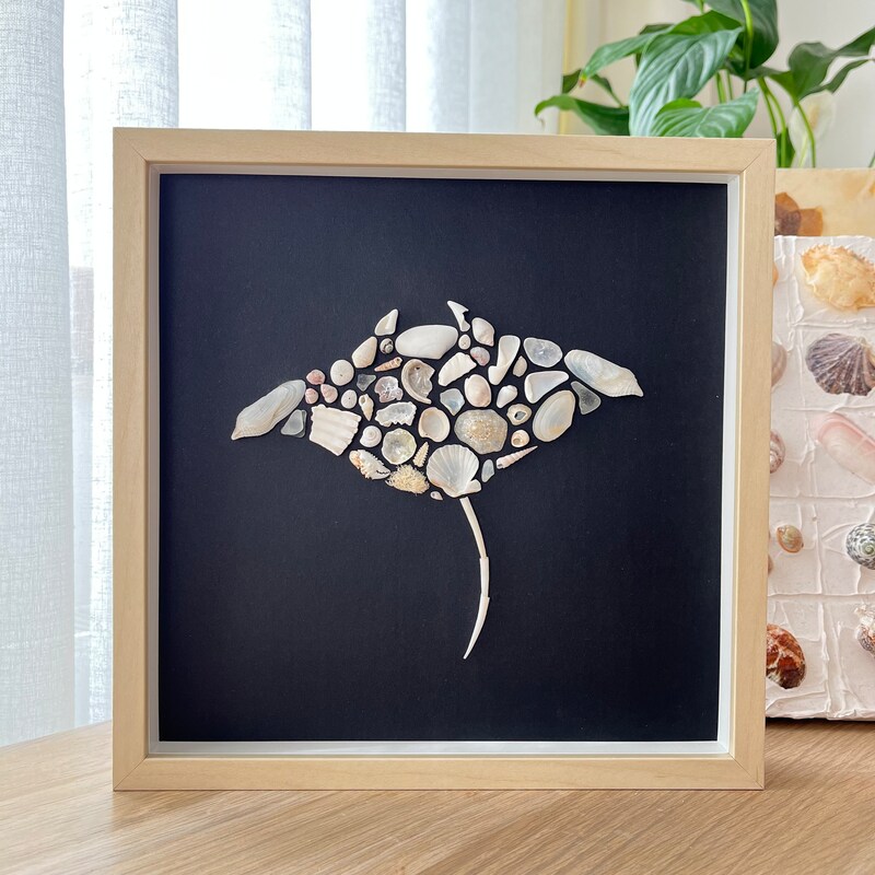 Shell Art Shadow Box - Etsy