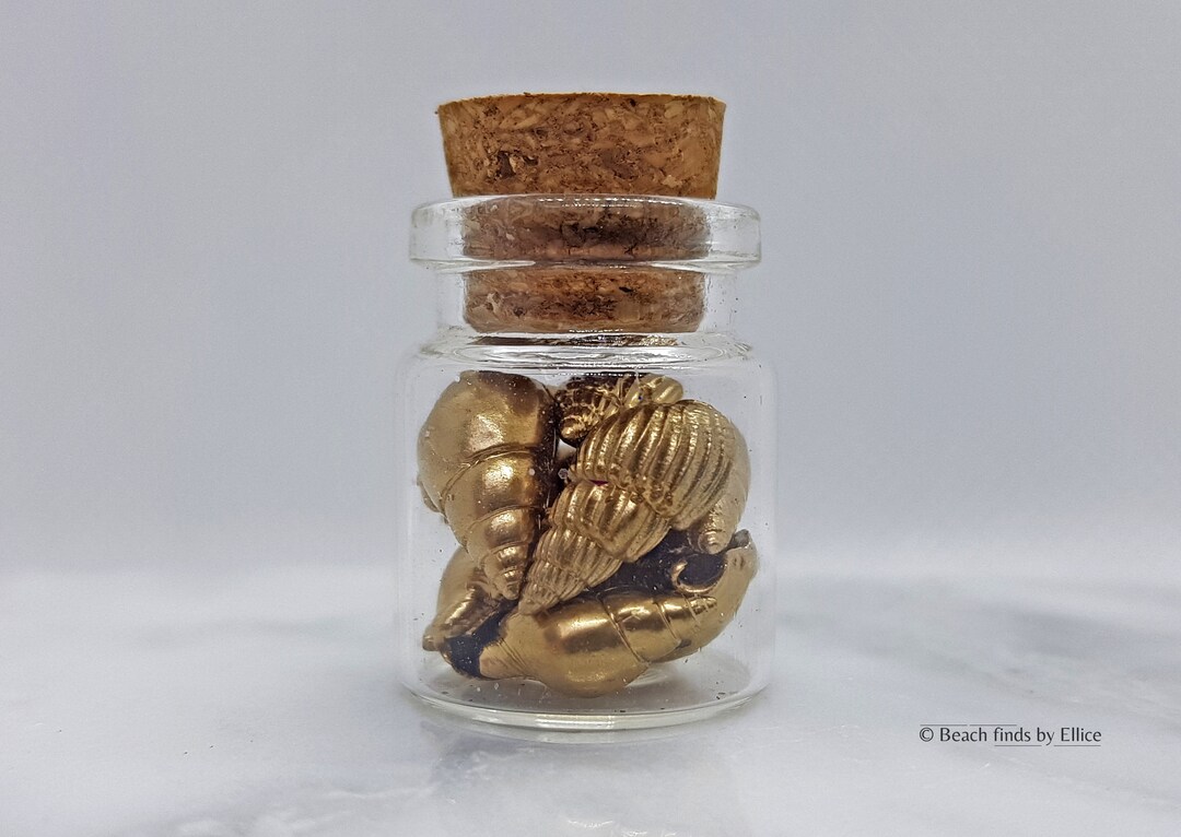 Golden Baby Sea Shell Set, 5 Pieces, Glass Bottle, Cork, Small Shells ...