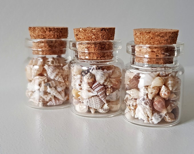 Mini Baby Sea Shell Set, 80 Pieces, Glass Bottle, Cork, Small Shells ...