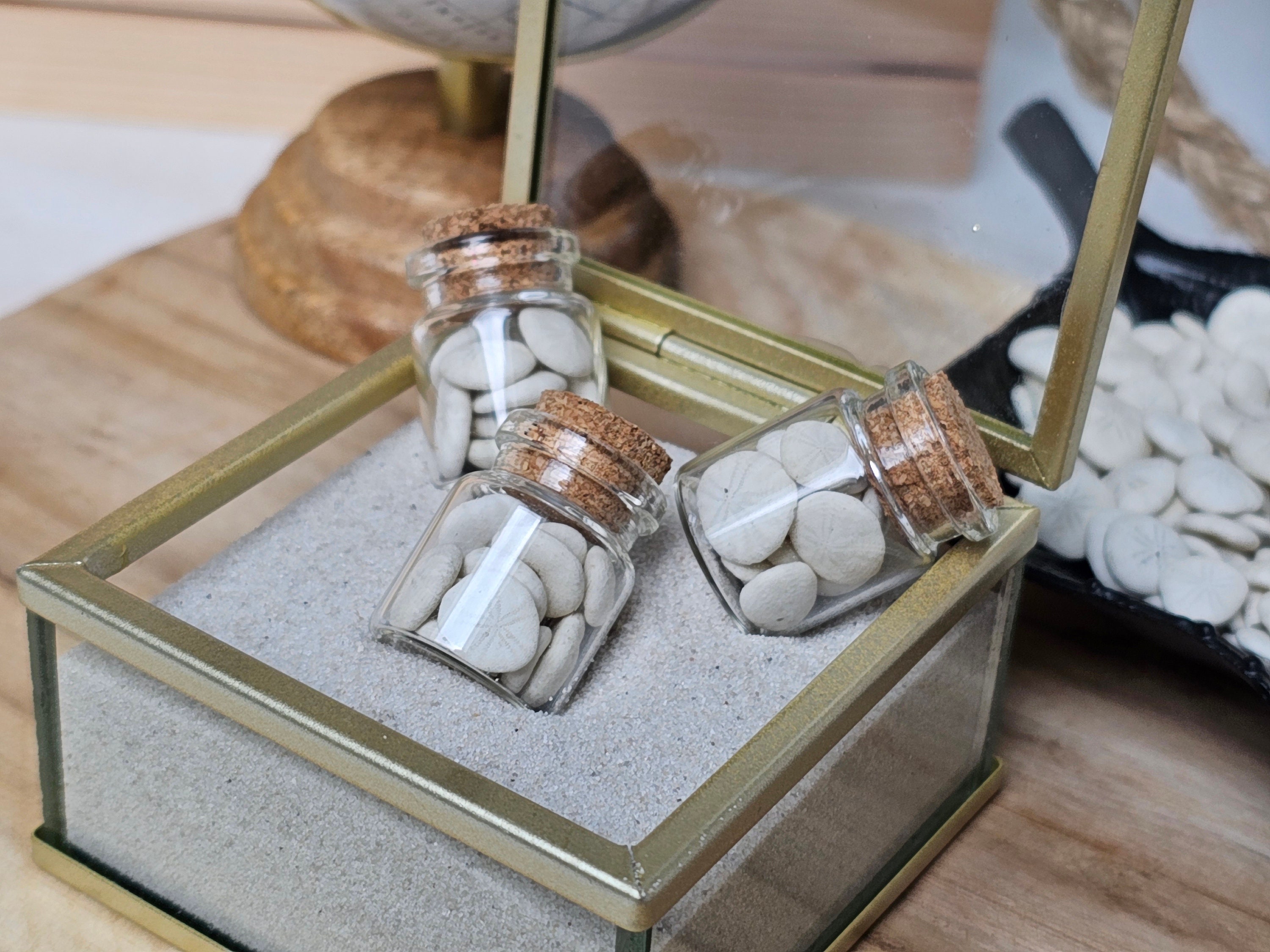 Baby Sand Dollar Set ~20 Pieces - One Mini Glass Bottle With Cork ...