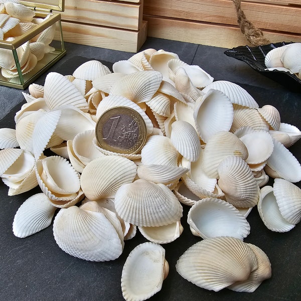 BeachFindsByEllice - Etsy