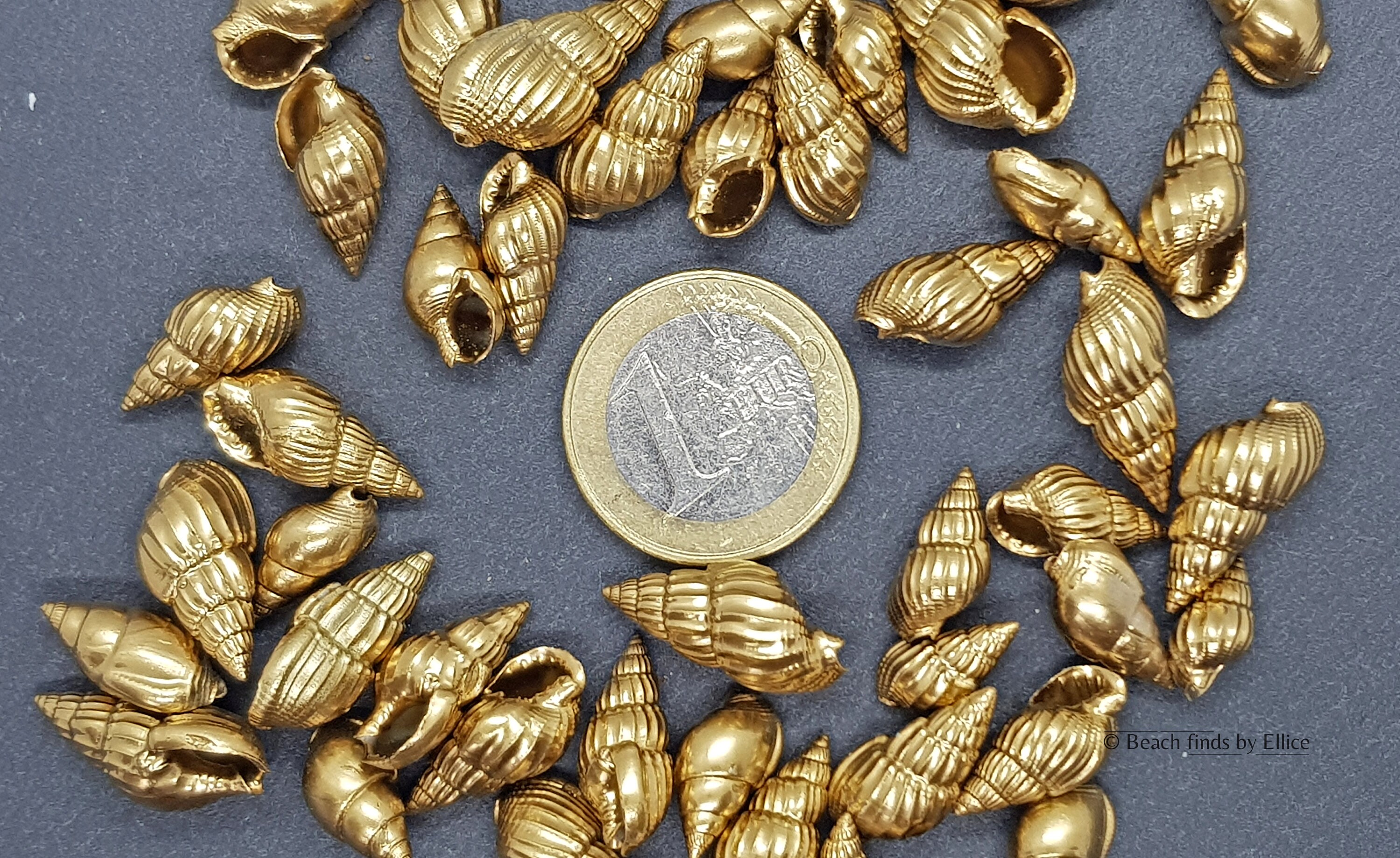 Golden Baby Sea Shell Set, 40 Pieces, Metal Box, Small Shells, Tiny ...