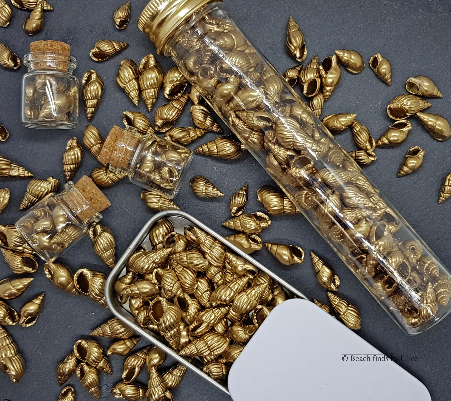 Golden Baby Sea Shell Set, 40 Pieces, Metal Box, Small Shells, Tiny ...