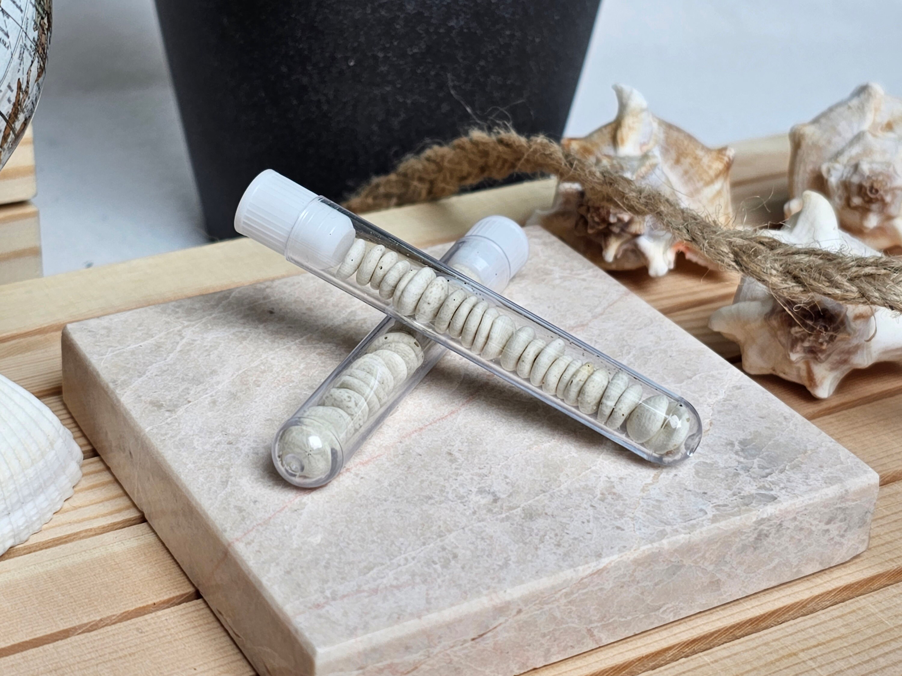 Baby Sand Dollar Set 20 Pieces Plastic Tube Mini Sand Dollar Shells ...