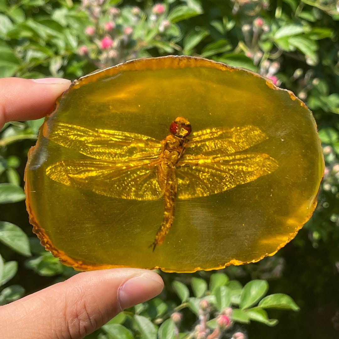 4.'' Resin Dragonfly Specimen,quartz Crystal,hand Carved,crystal ...