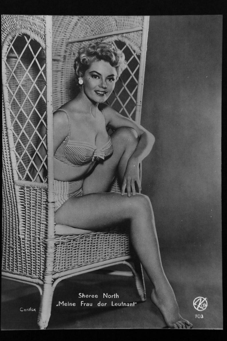 Vintage Glass Plate Negative Sheree North Movie Star - Etsy