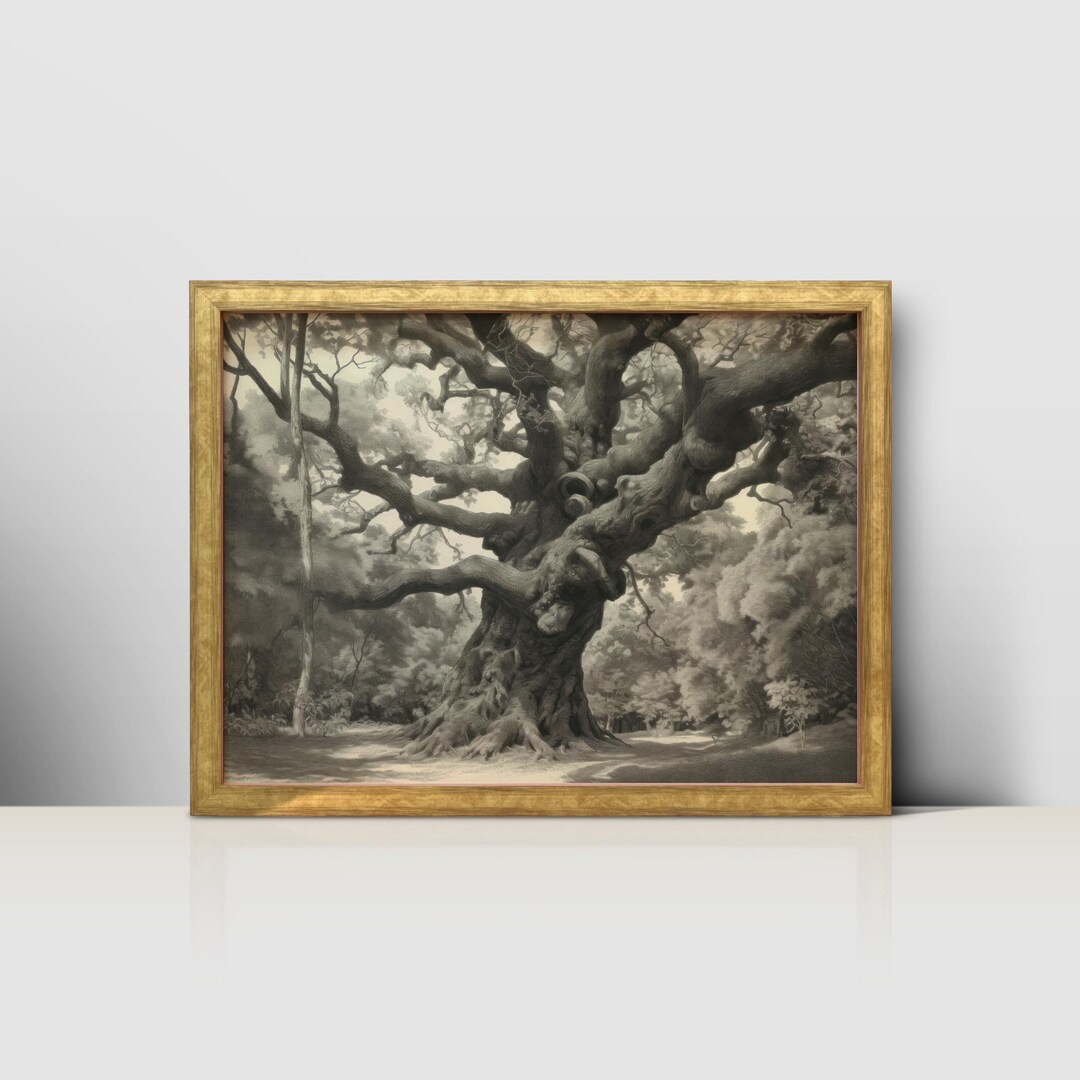 Vintage Forest Landscape Art Print: Atmosphere, Woodland Scene With ...