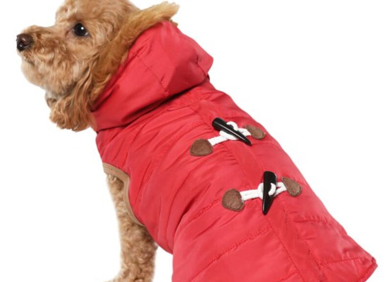 Vibrant Life Dog Clothes: Hooded Jacket for Fall & Winter, Red With ...