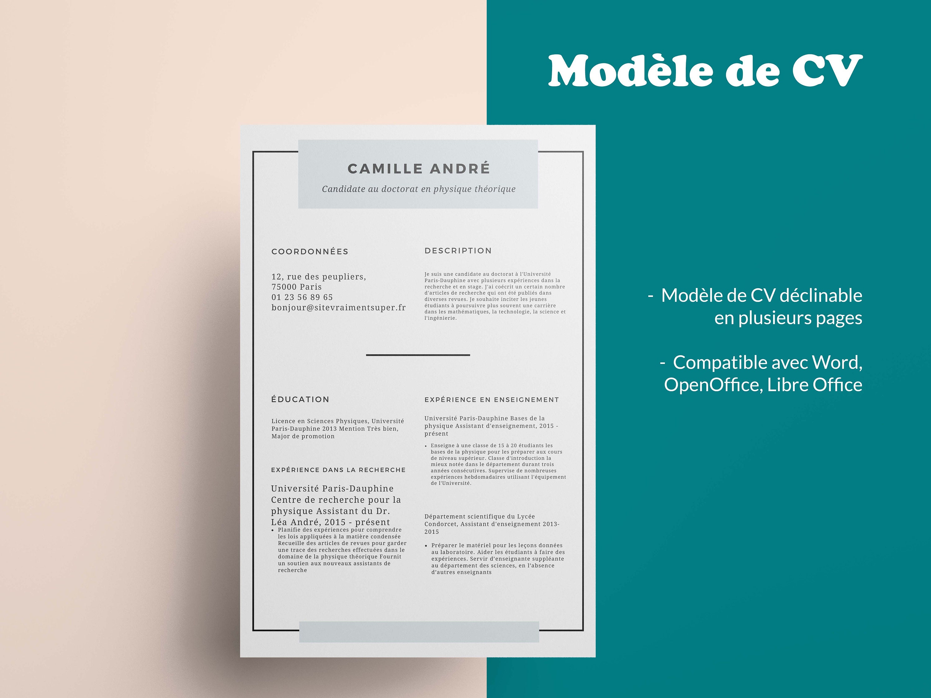 5 Modern Microsoft WORD CV Templates - Etsy