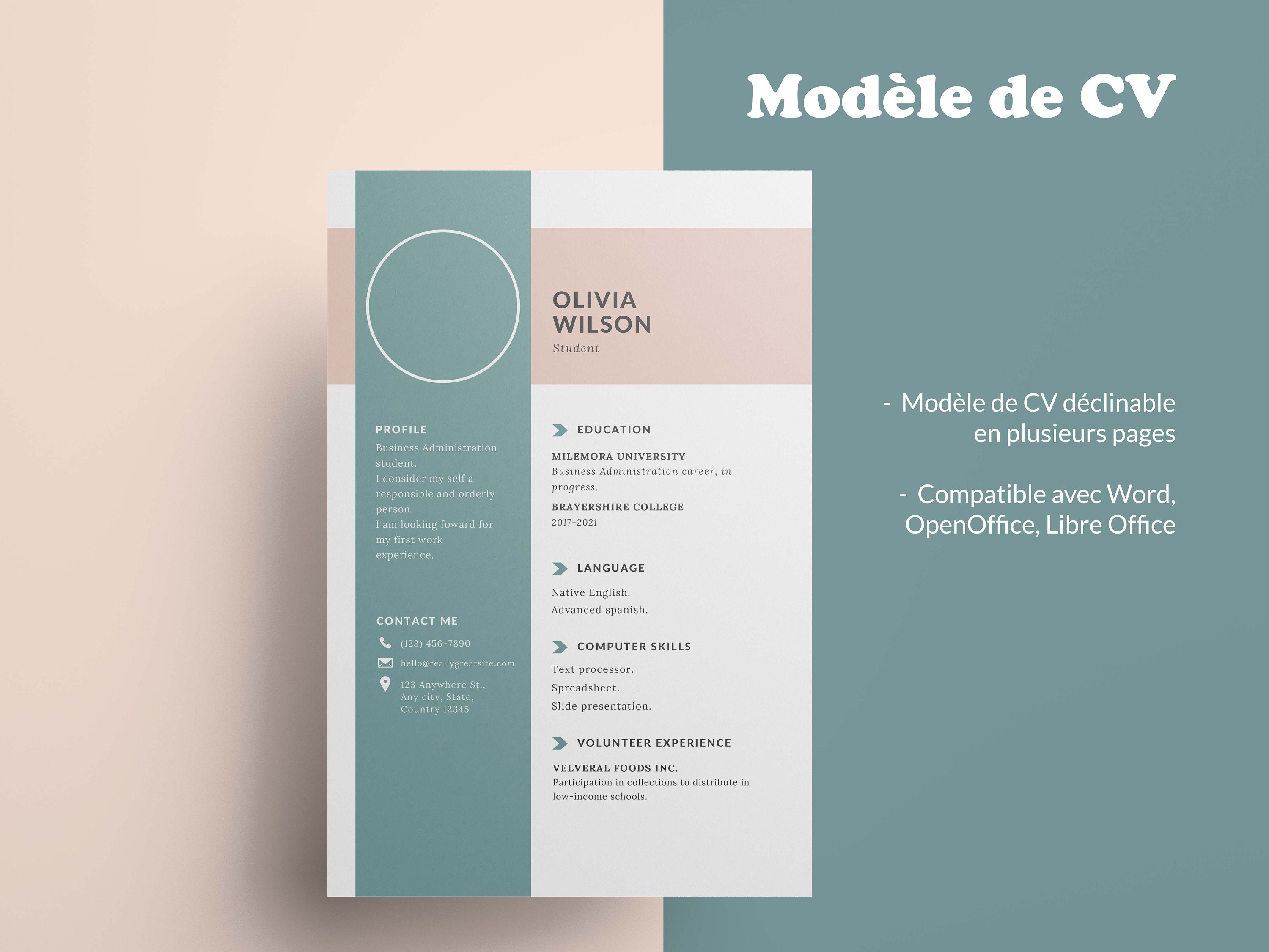 5 Modern Microsoft WORD CV Templates - Etsy
