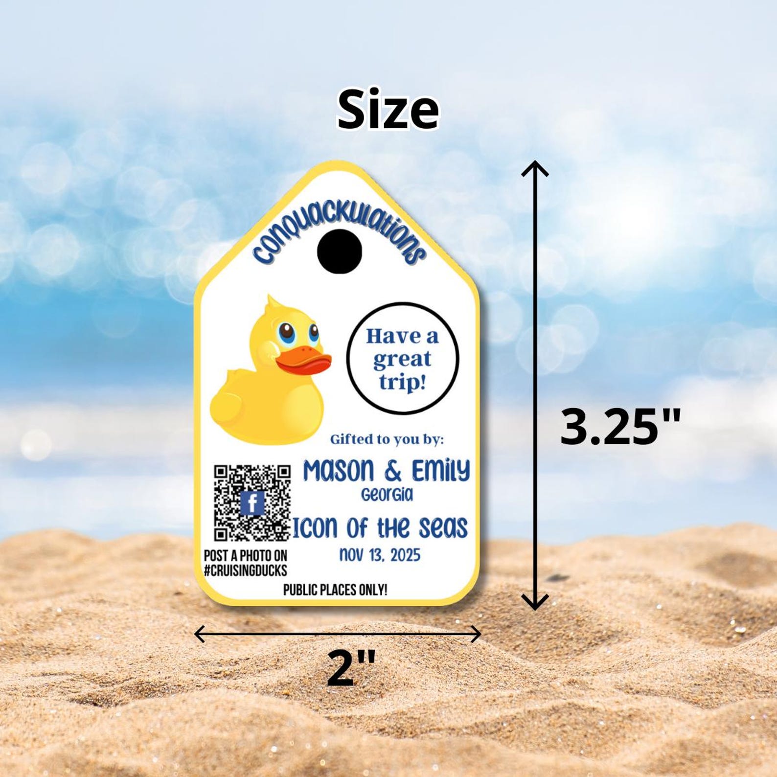 Scratch off Cruising Duck Tag Printed Duck Tag Laminated Cruise Ship ...